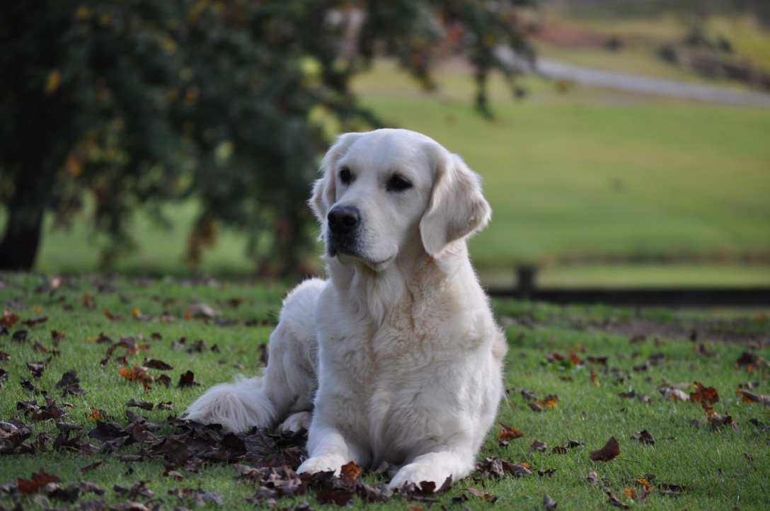 The Summer Brook Difference: Why Choose Summer Brook - Summer Brook